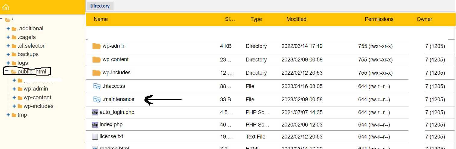 WordPress Maintenance error Solved! - Byte Blogger